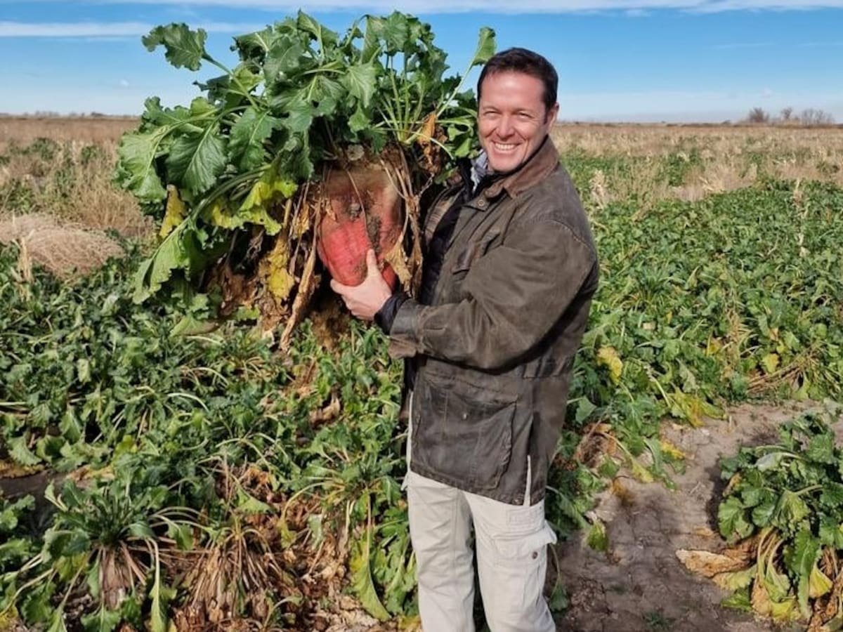 El cultivo que transformó un campo y permite producir carne a solo US$0 ...